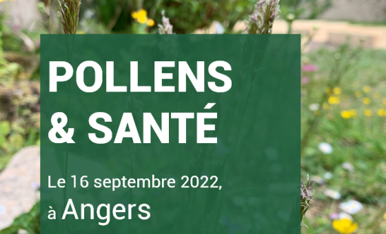 Qu'est-ce que le pollen ? | Air Pays de la Loire